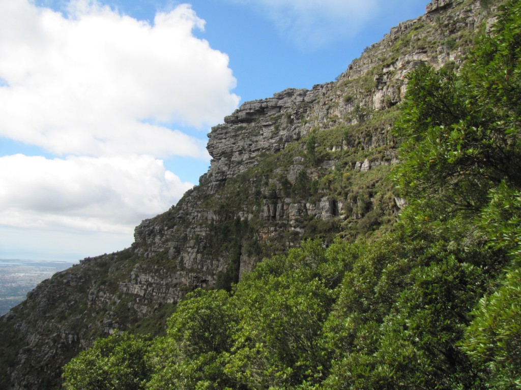 Table Mountain, Maclear’s Beacon via Skeleton Gorge – Famous last words ...